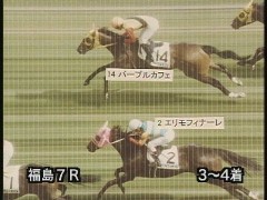レース結果 JRA
