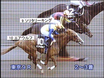 レース結果 JRA