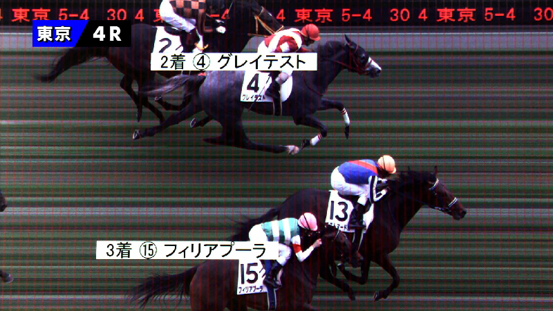 レース結果 JRA