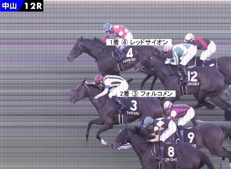 レース結果 JRA