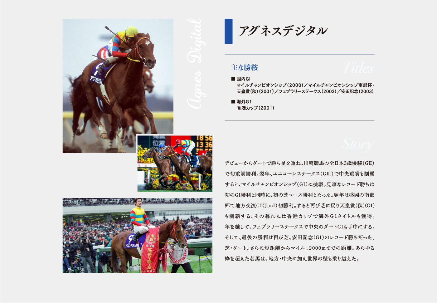 JRA卓上カレンダー プレゼントキャンペーン | JRA