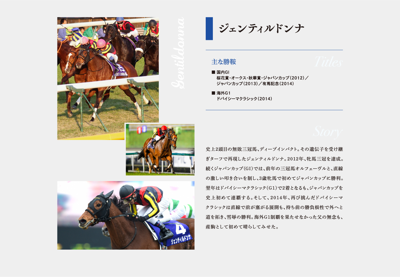 JRA卓上カレンダー プレゼントキャンペーン | JRA