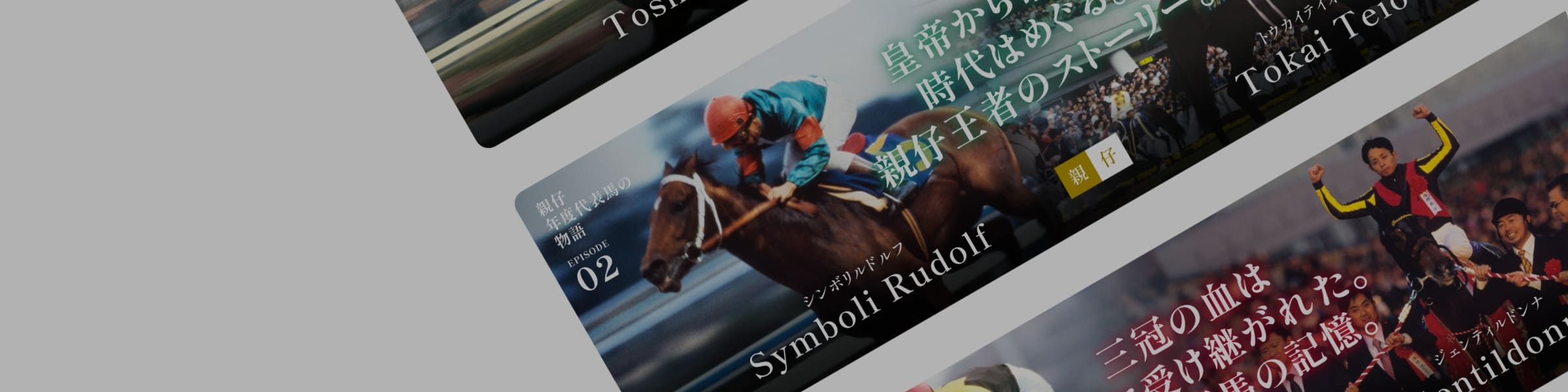 サラブレッドがつなぐ夢（サラブレッドの一生紹介） | JRA70周年特設サイト｜JRA