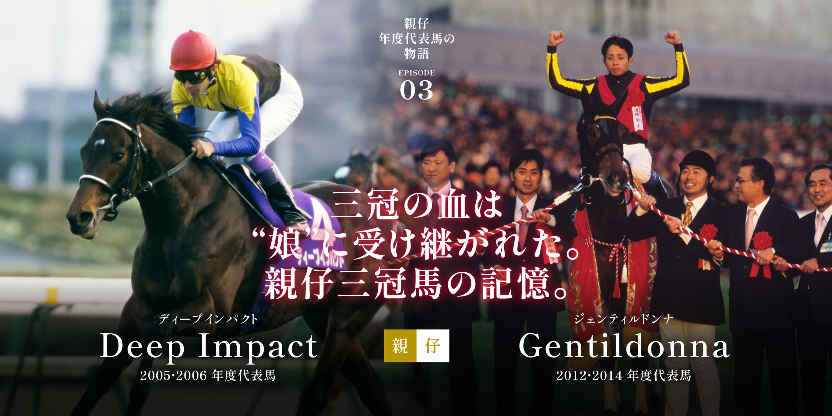 ディープインパクト＆ジェンティルドンナ|親仔年度代表馬の物語|サラブレッドがつなぐ夢（サラブレッドの一生紹介） | JRA70周年特設サイト｜JRA